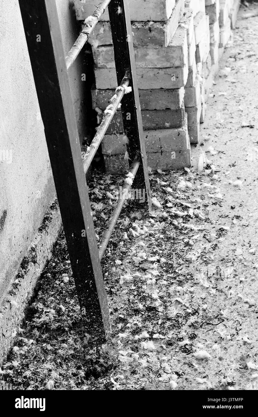 Fire Escape Steel Ladder Stock Photo - Alamy