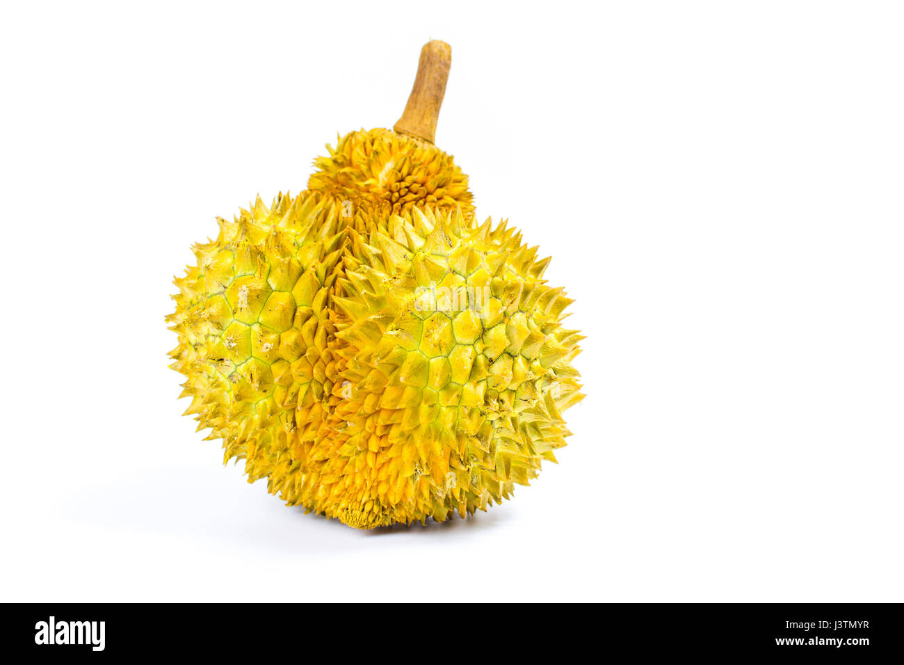 Durian tropical fruit isolated on white background Stock Photo - Alamy