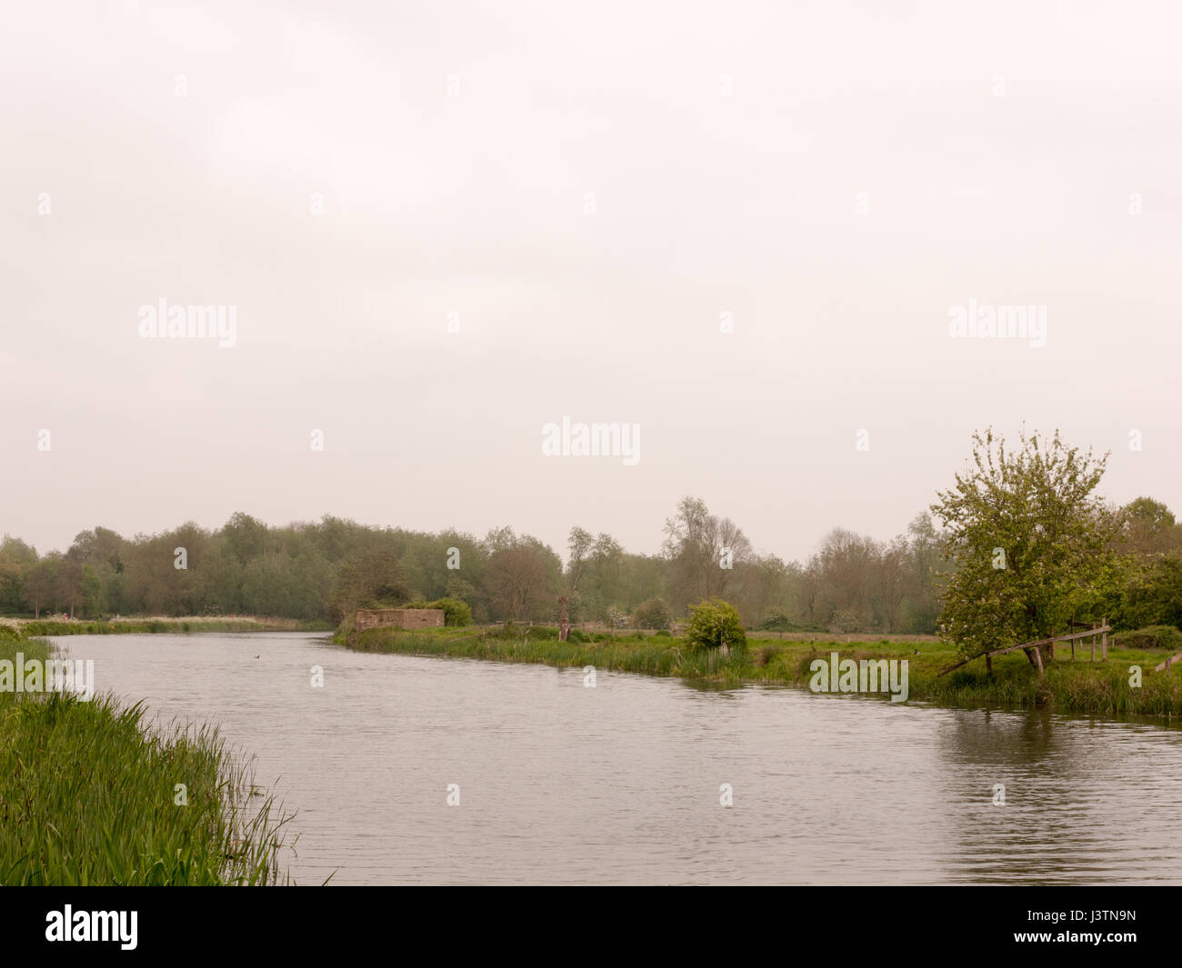 a lovely river running through a park in the uk in spring Stock Photo ...