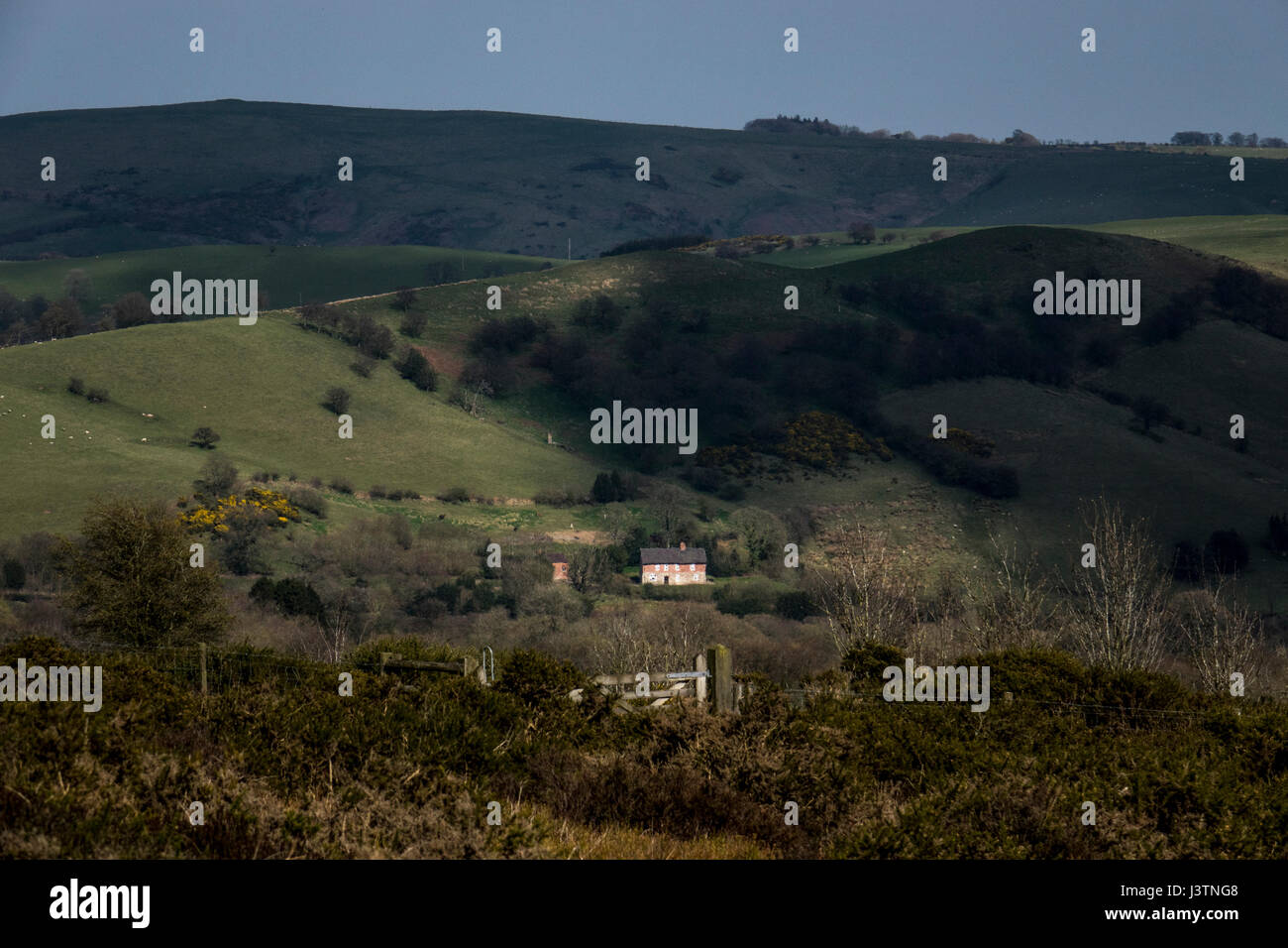isolated farm Shropshire Stock Photo - Alamy