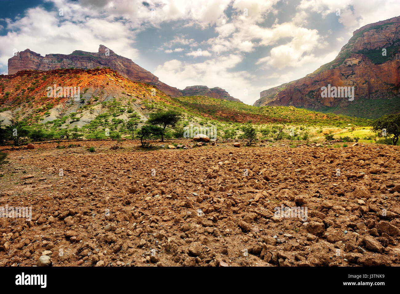 Tigray province hi-res stock photography and images - Alamy