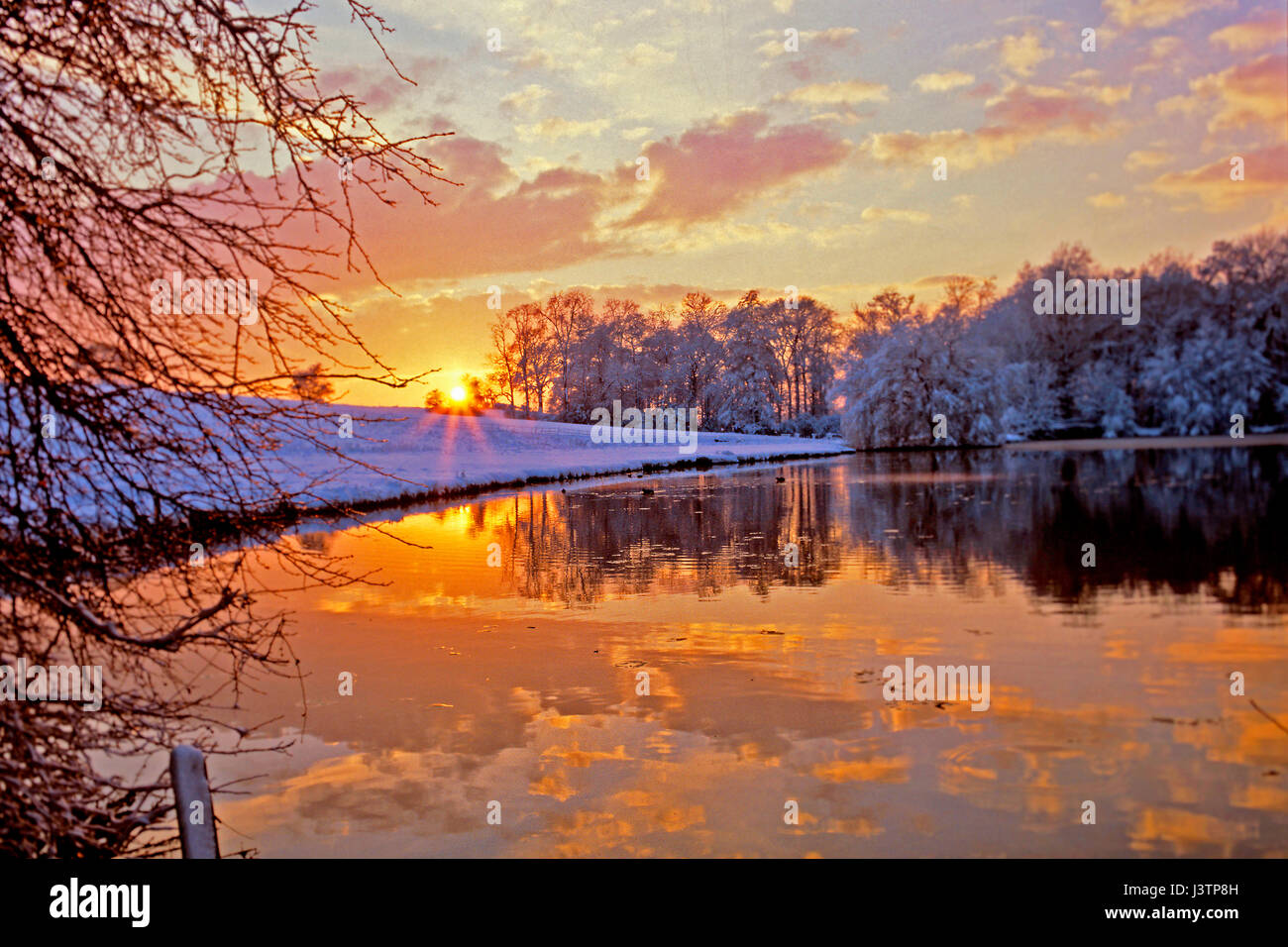 Woodland snow sunset hi-res stock photography and images - Alamy