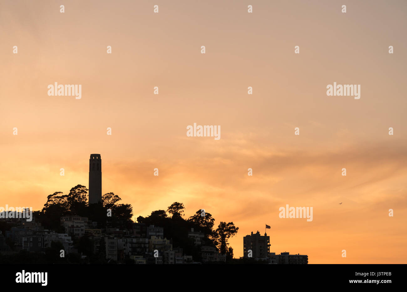 San francisco city silhouette hi-res stock photography and images - Alamy