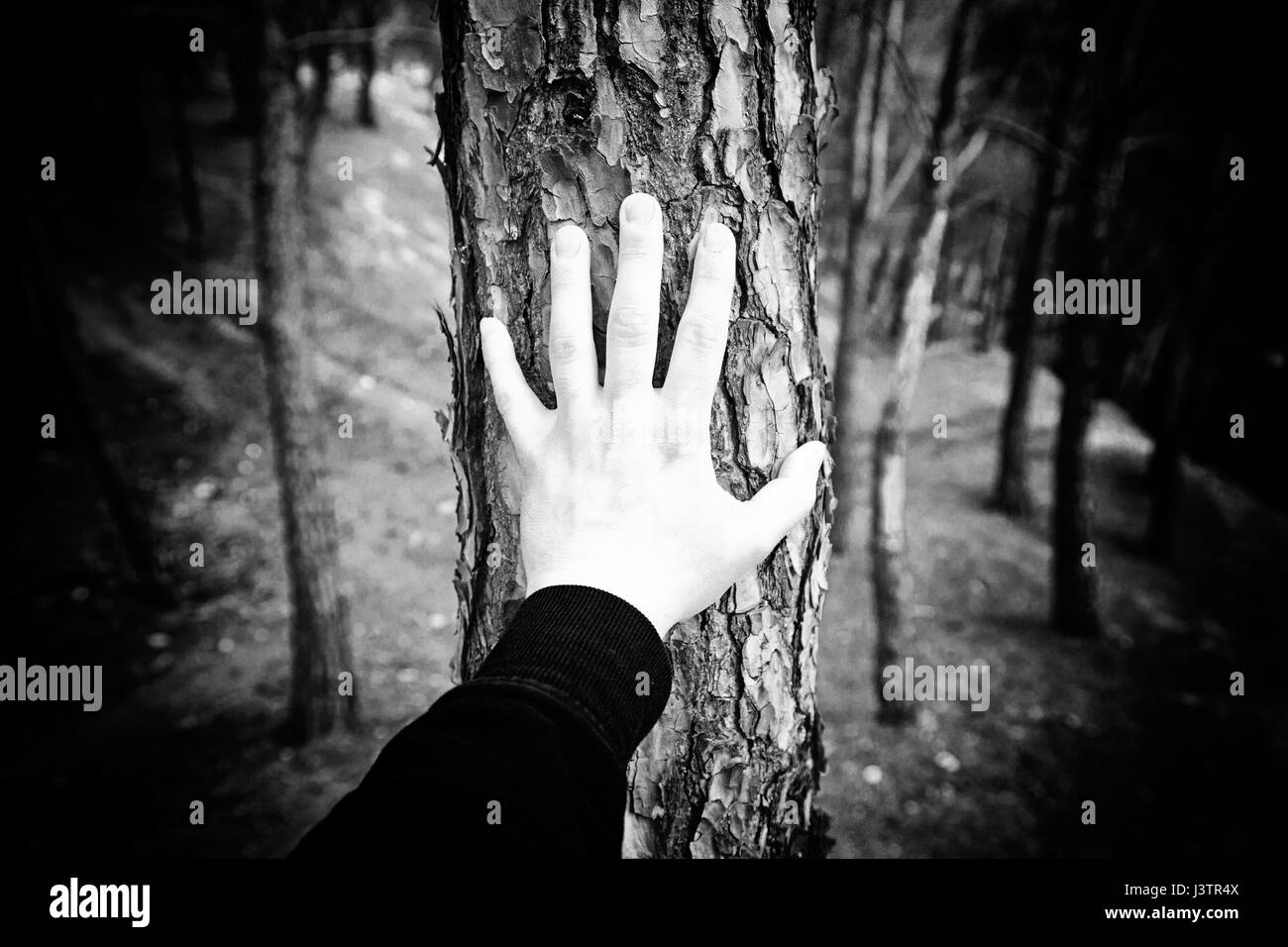 Male hand touching a tree, detail of love for nature, environment Stock ...