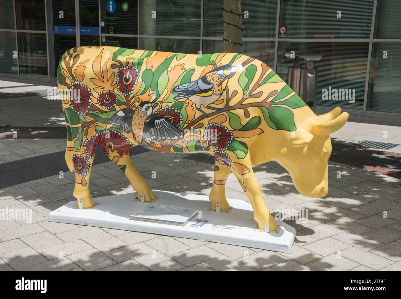 Maroon cow hi-res stock photography and images - Alamy