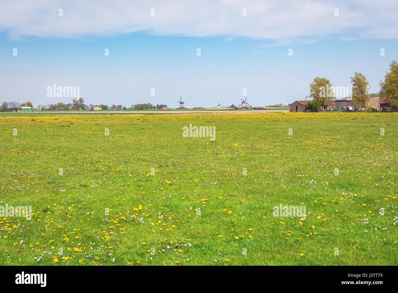 Polder series hi-res stock photography and images - Alamy