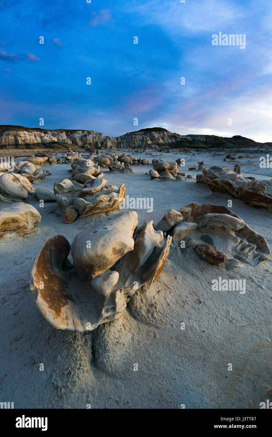 Bisti de na zin wilderness hi-res stock photography and images - Alamy