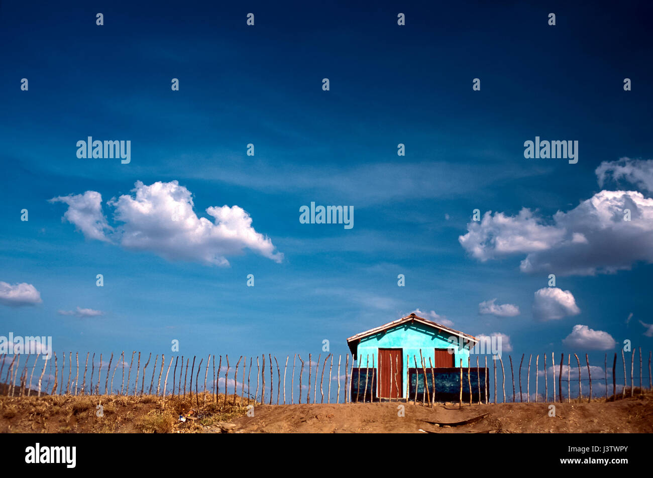 Caatinga brazil landscape hi-res stock photography and images - Alamy