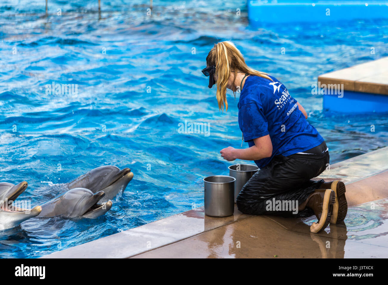 Aquatica seaworld hi-res stock photography and images - Alamy