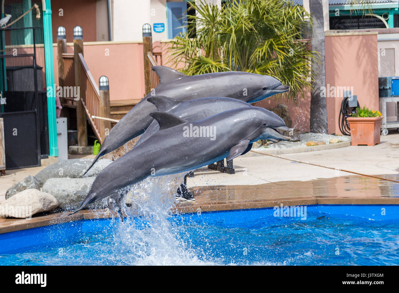 Aquatica seaworld hi-res stock photography and images - Alamy
