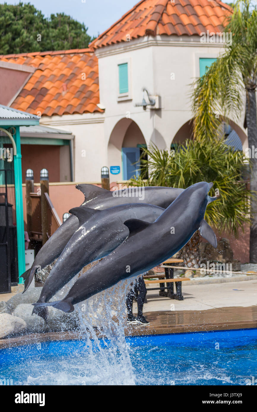 Aquatica seaworld hi-res stock photography and images - Alamy