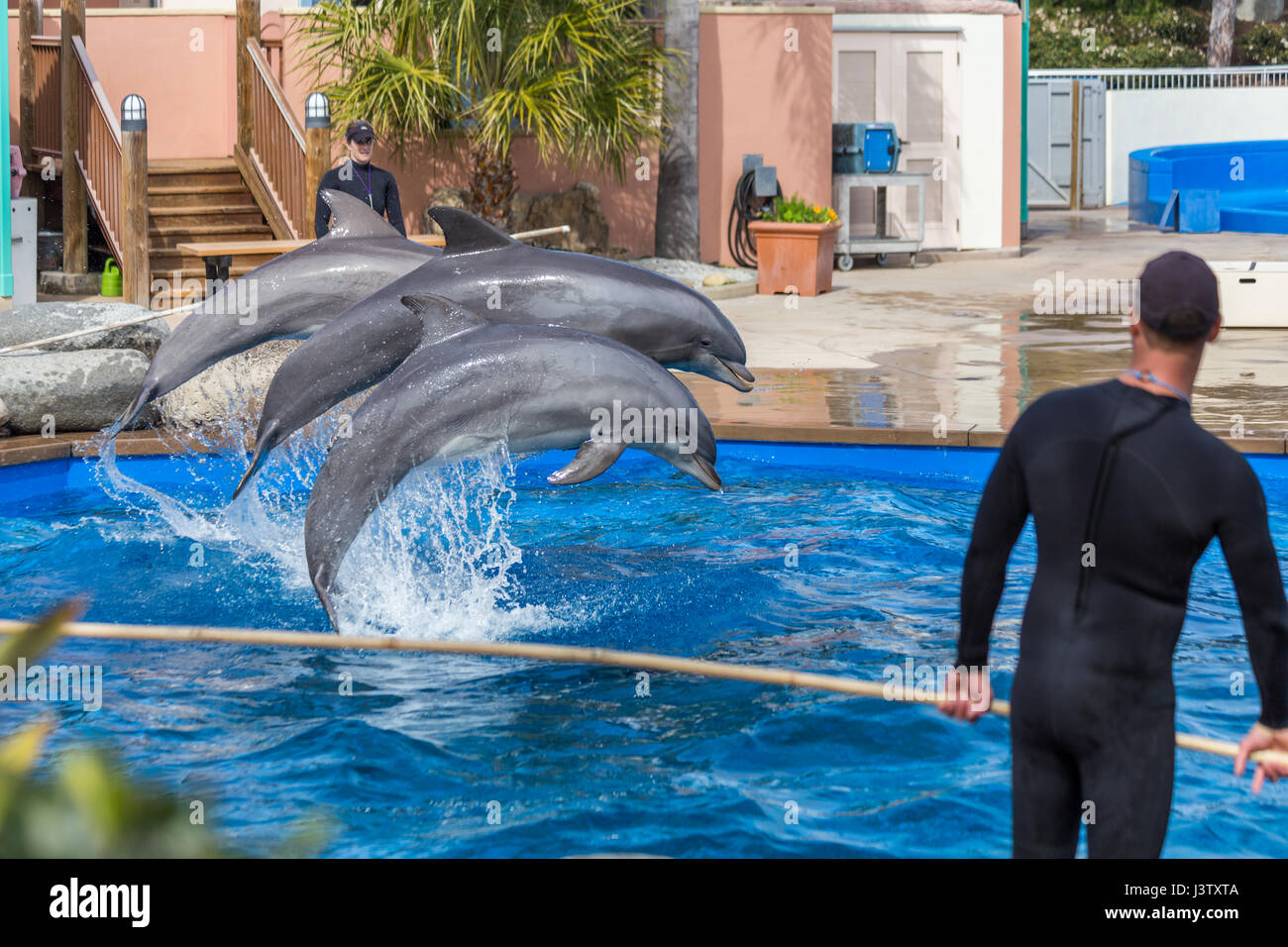 Aquatica seaworld hi-res stock photography and images - Alamy