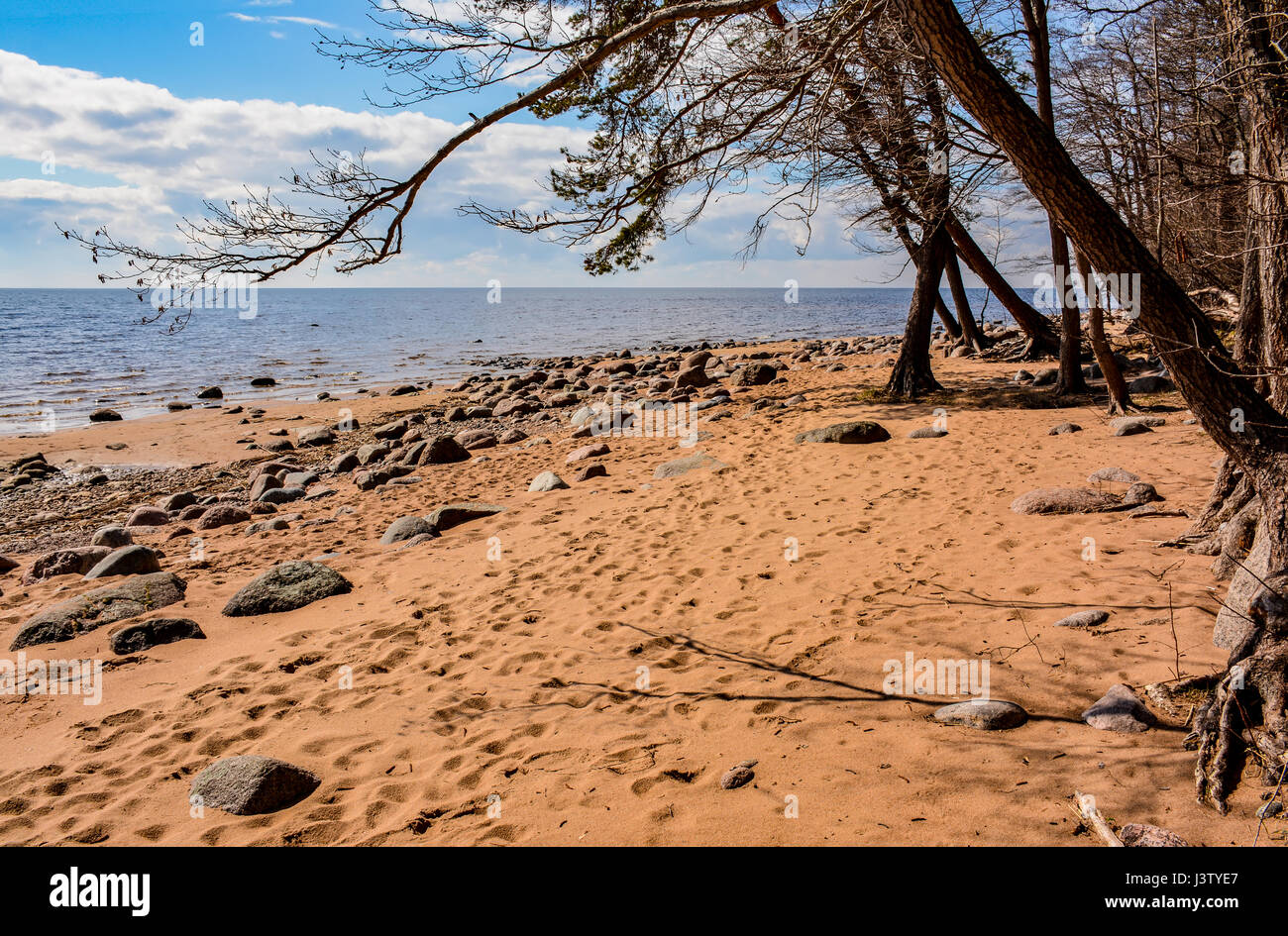 Sunny day in may on the Gulf coast Stock Photo - Alamy
