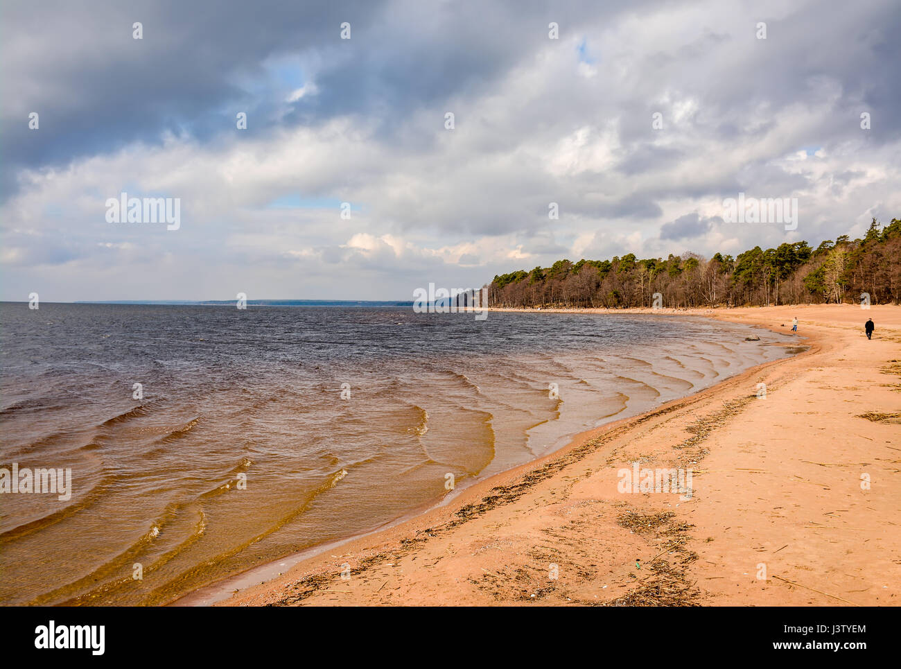 Sunny day in may on the Gulf coast Stock Photo - Alamy
