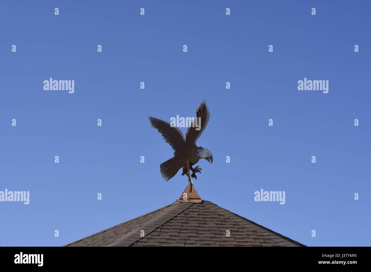 Wind vane bird hi-res stock photography and images - Alamy