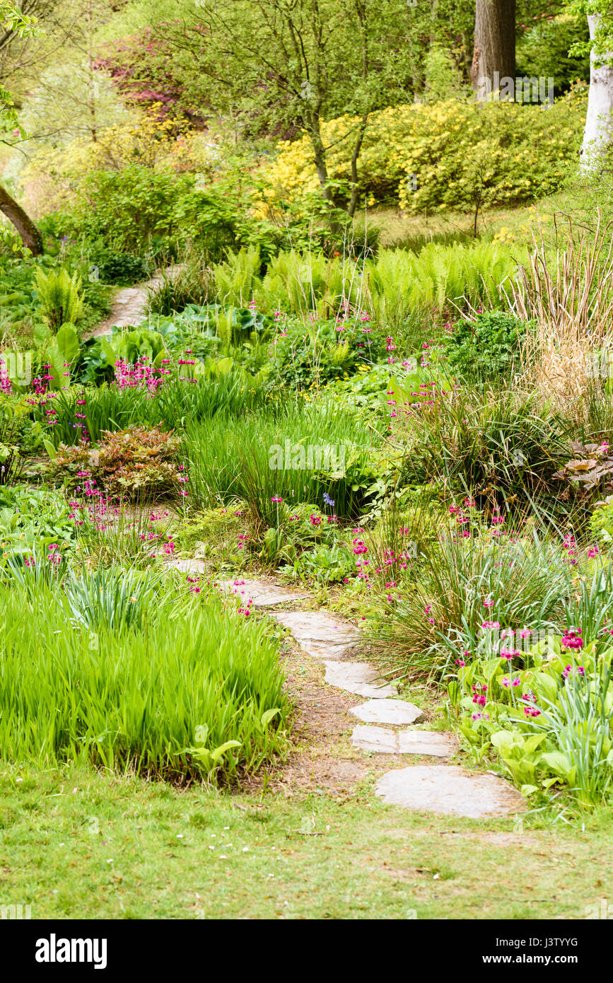 Path through the boggy area of a pretty, formal Japanese themed garden ...