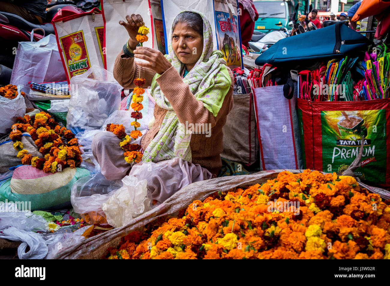 The street artisan of india hi-res stock photography and images - Alamy