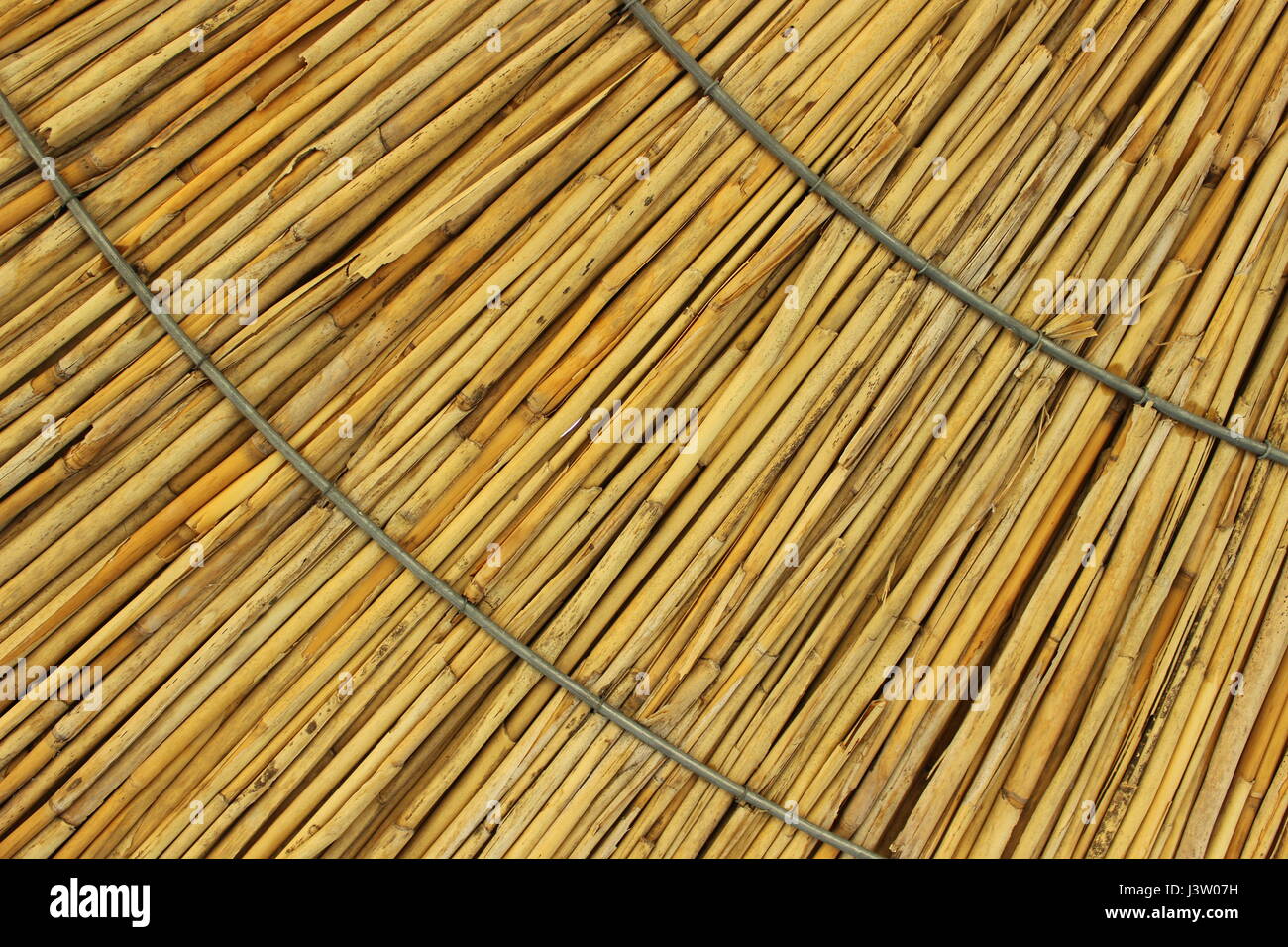 Reed background hi-res stock photography and images - Alamy