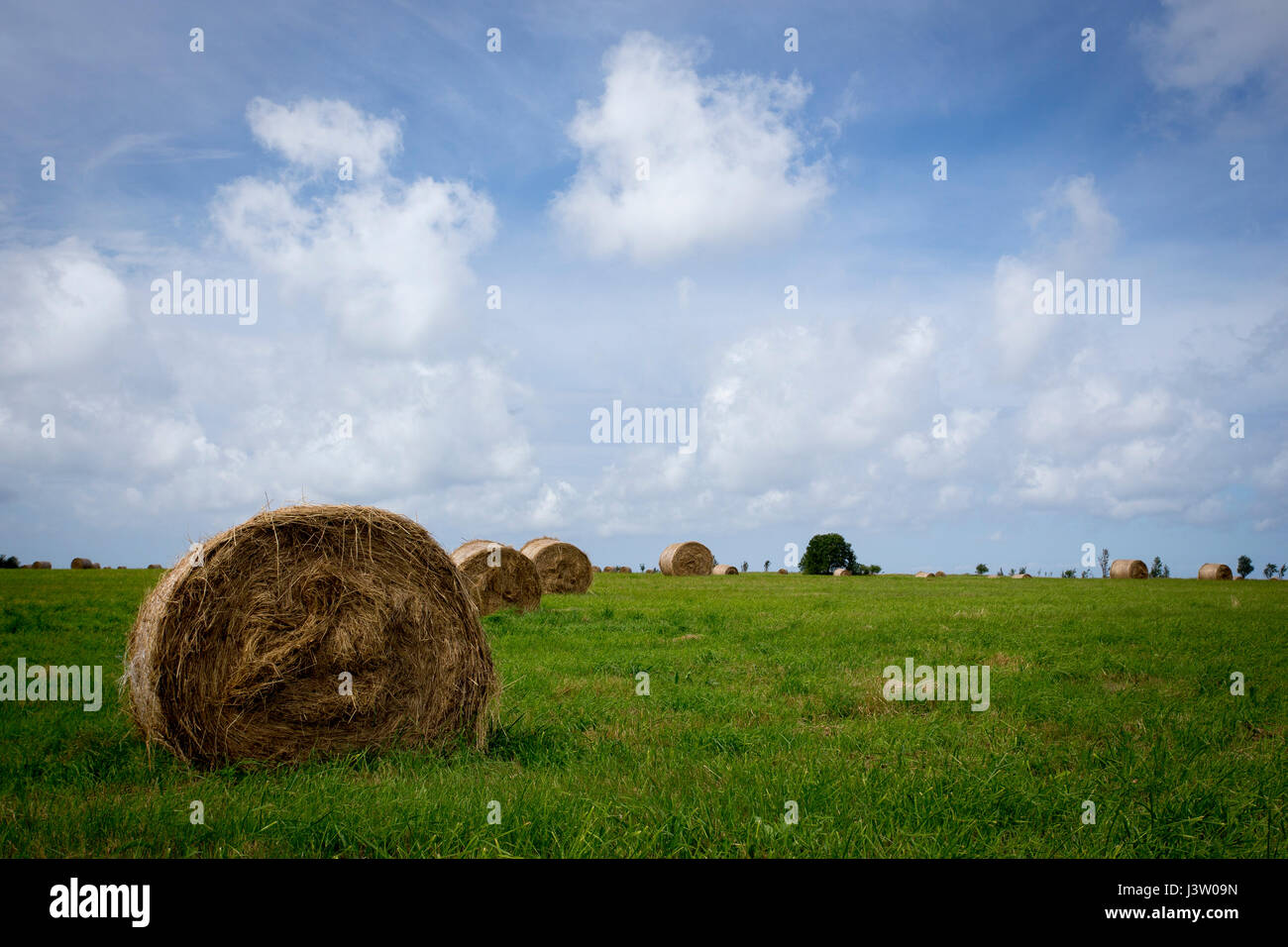A stack of hay with green grass and sky Stock Photo - Alamy
