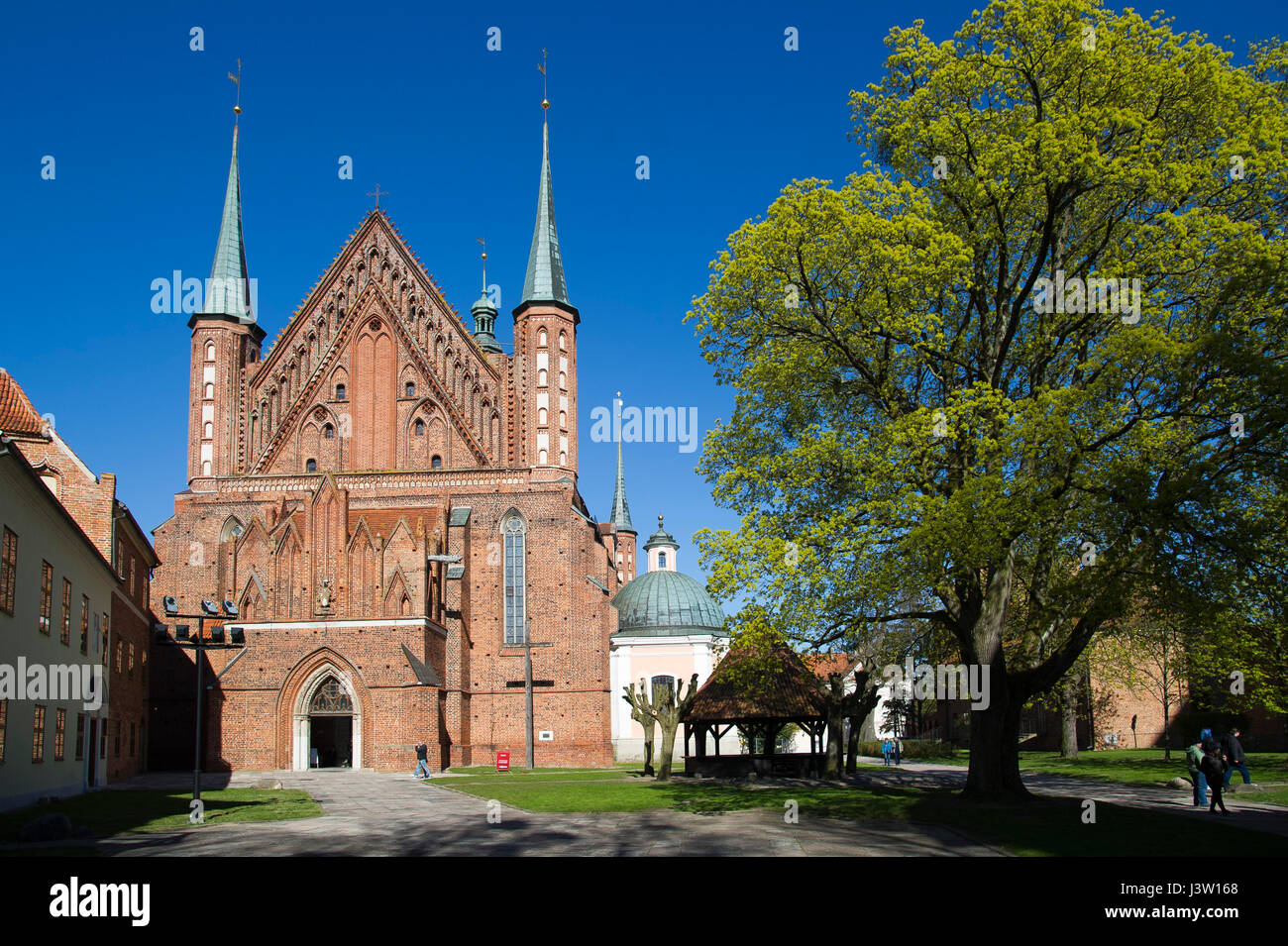 Gothic Archcathedral Basilica of the Assumption of the Blessed Virgin ...