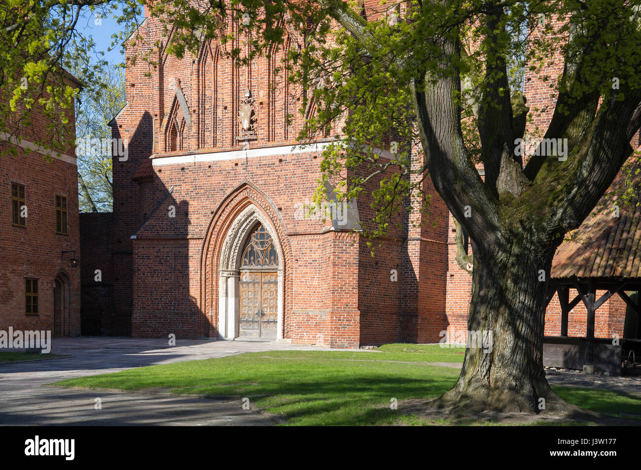 Gothic Archcathedral Basilica of the Assumption of the Blessed Virgin ...