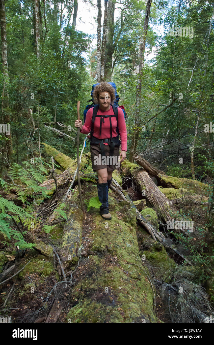Female hiker crossing a moss-covered log in the Tarkine wilderness of ...