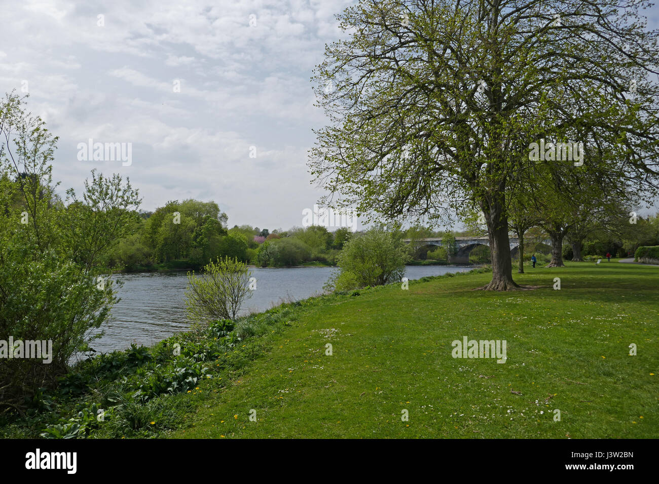 Kelso Bridge (Rennie's Bridge), River Tweed, Kelso, Scottish Borders ...