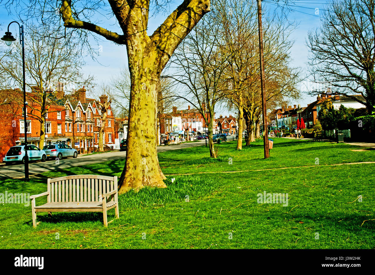tree lined high street Tenterden, Kent Stock Photo - Alamy