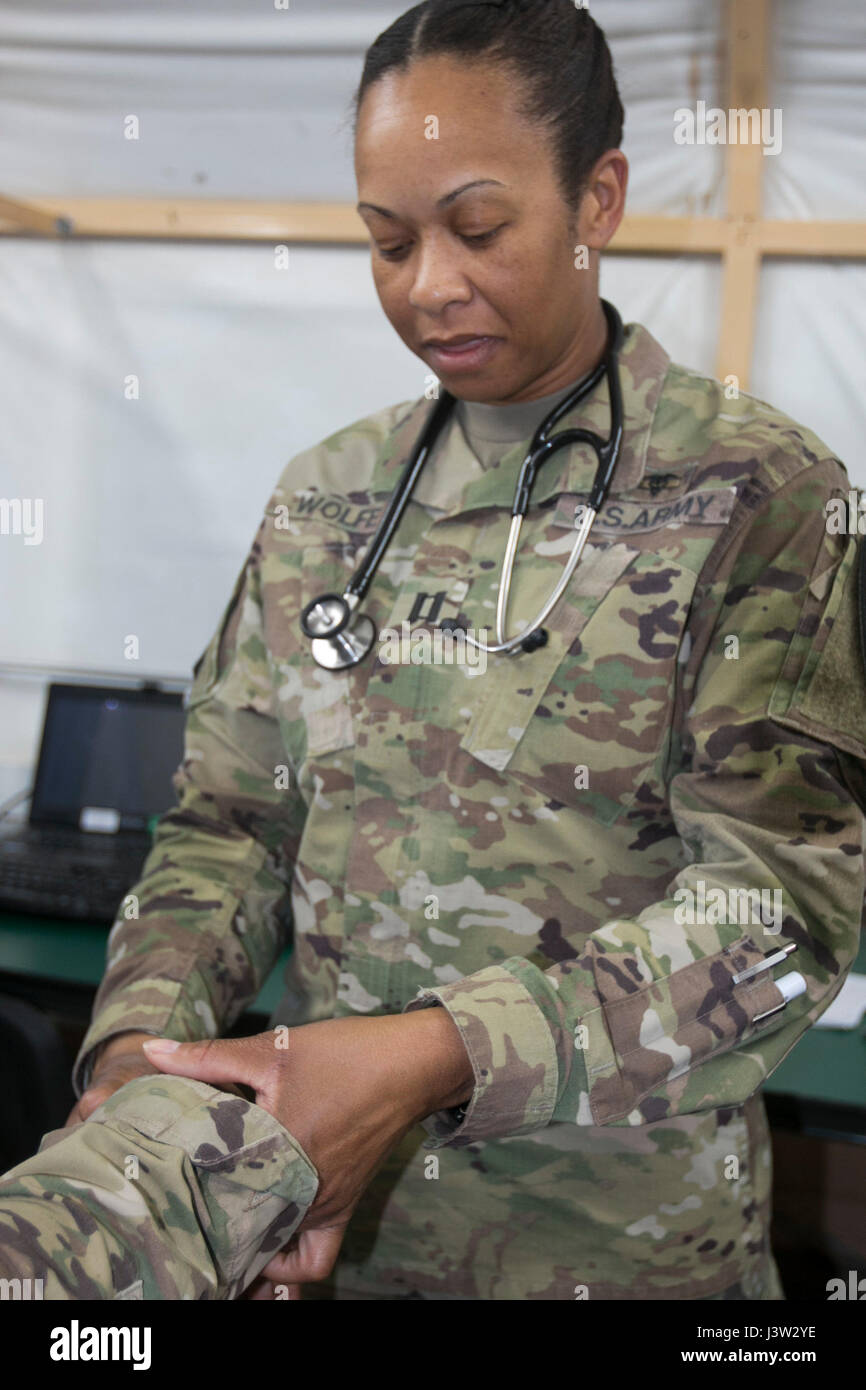 Capt. Andrea Wolfe, senior brigade physician assistant assigned to the ...