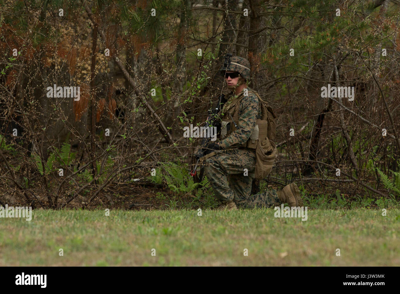 A Marine provides security during a patrol exercise at Fort A.P. Hill ...