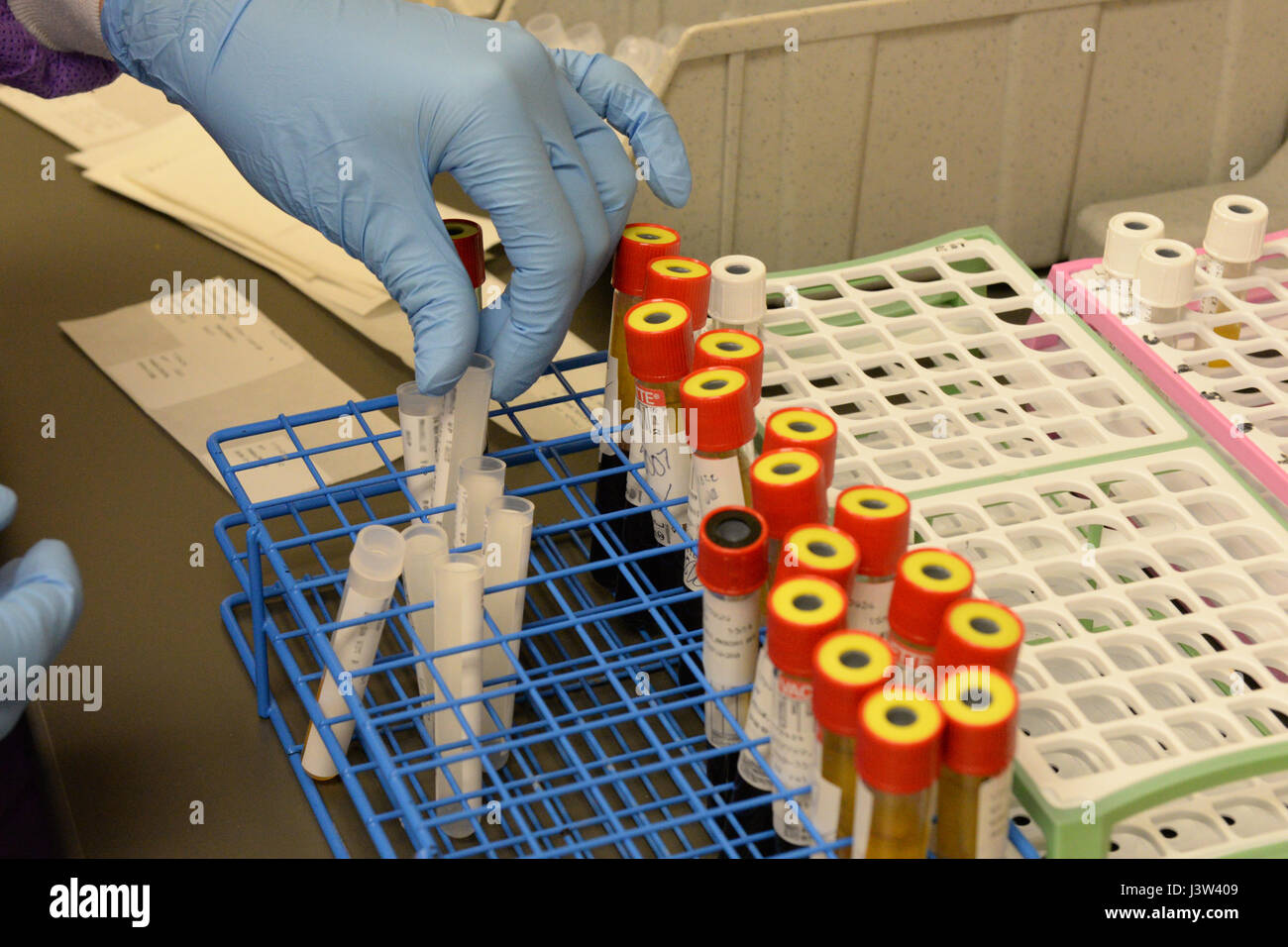 Airman 1st Class Kristen Lowder, a medical laboratory technician ...