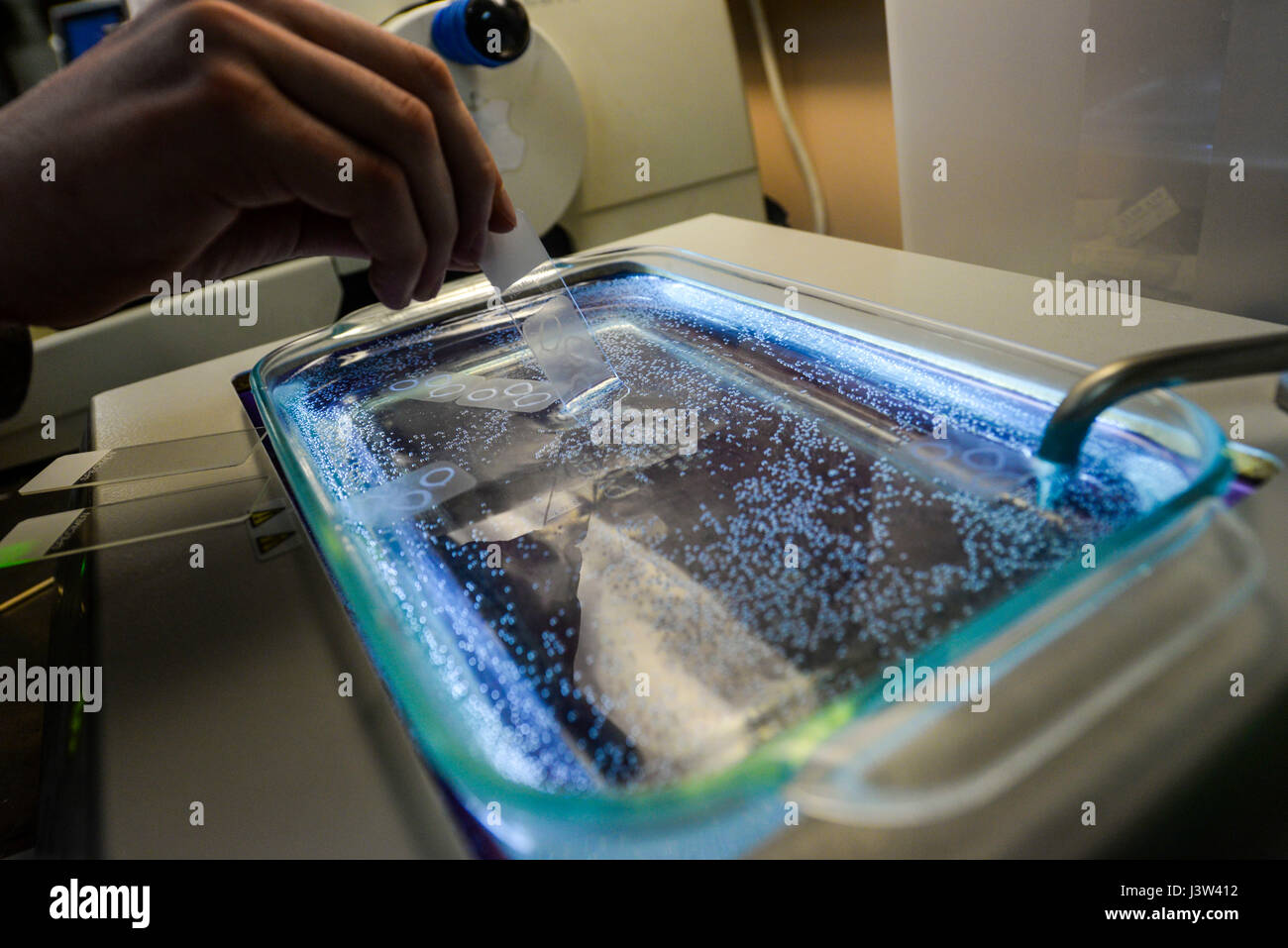 Hematology laboratory hi-res stock photography and images - Alamy
