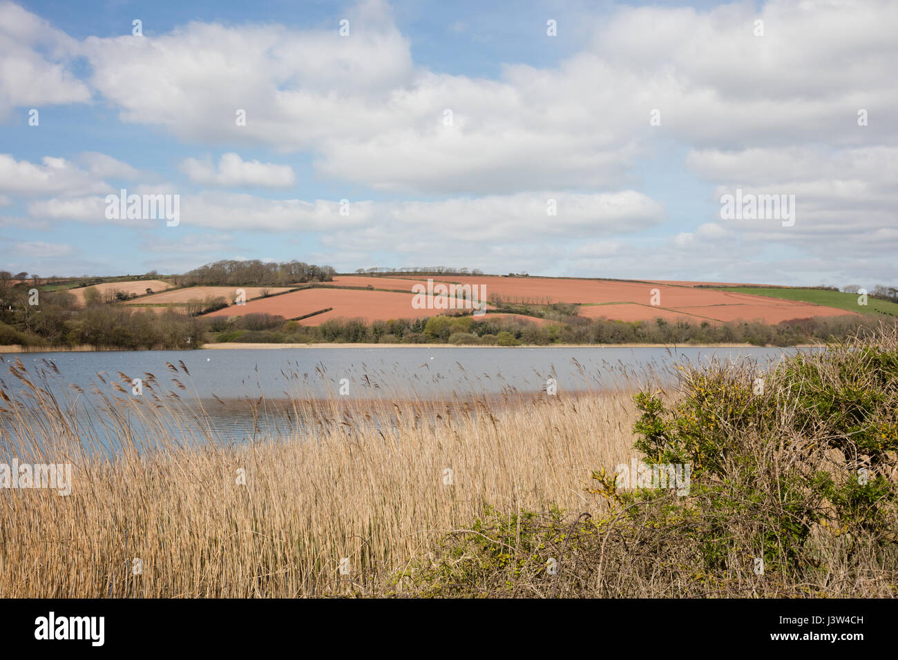 Earth sanctuary hi-res stock photography and images - Alamy