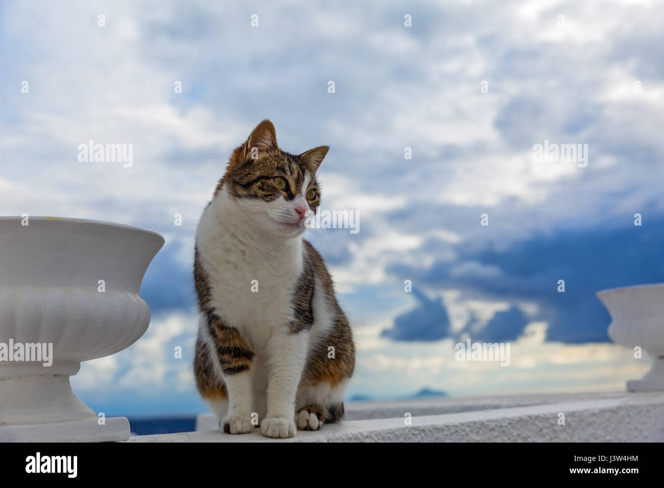 Serious architecture hi-res stock photography and images - Alamy