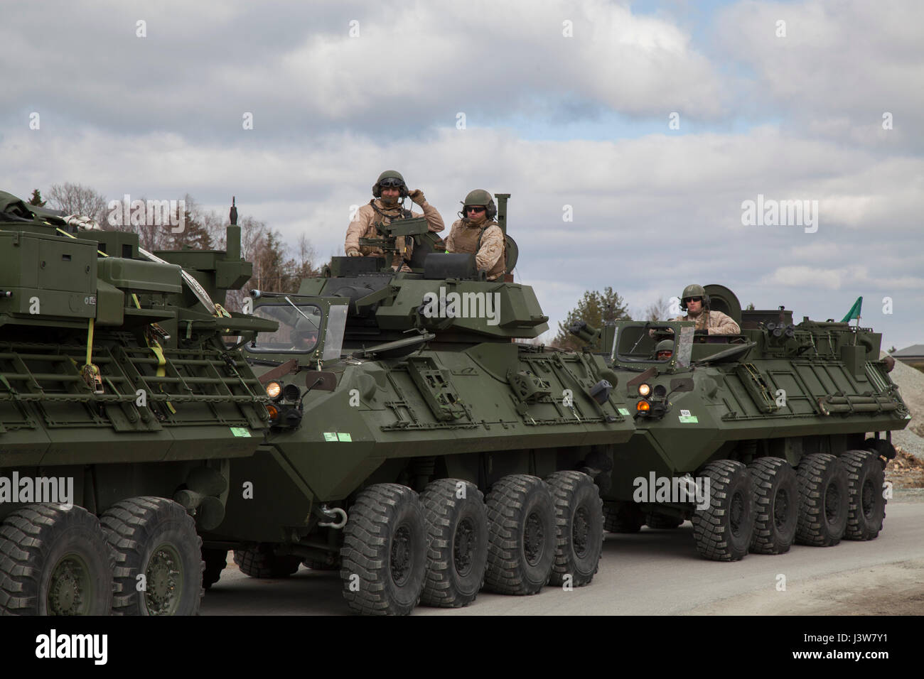 U.S. Marines with 4th Light Armored Reconnaissance Battalion conduct a ...