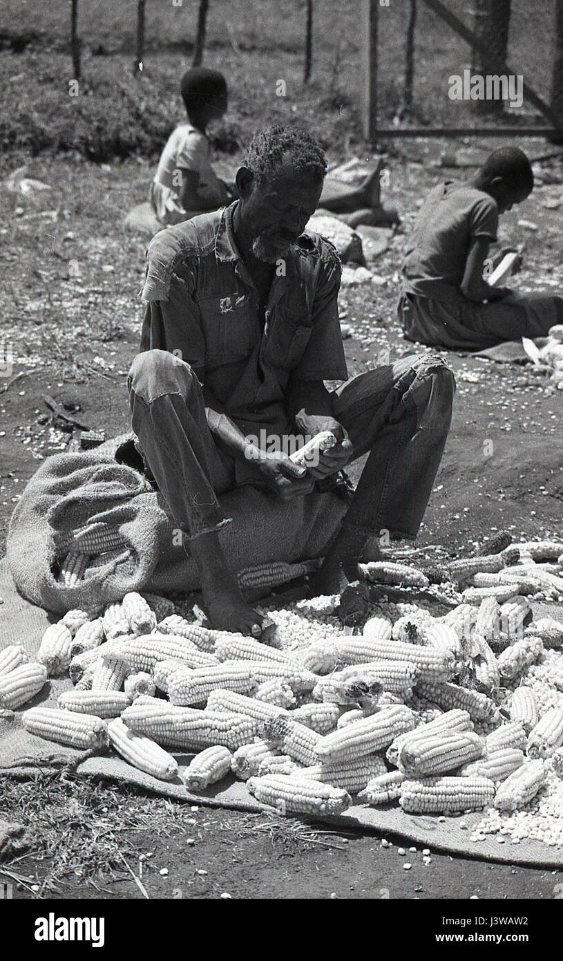 men shucking corn Stock Photo - Alamy