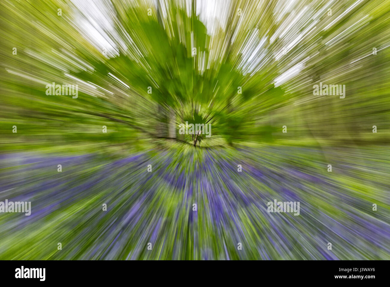 Smooth zoom in hi-res stock photography and images - Alamy