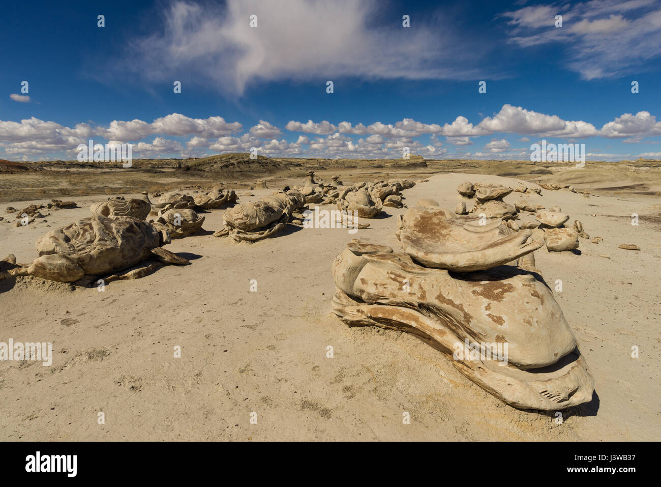 Bisti or De-Na-Zin Wilderness Area or badlands showing unique rock ...