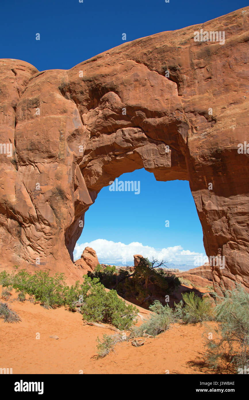 Famous Pine tree arch in the Arches National park, Utah, USA Stock ...