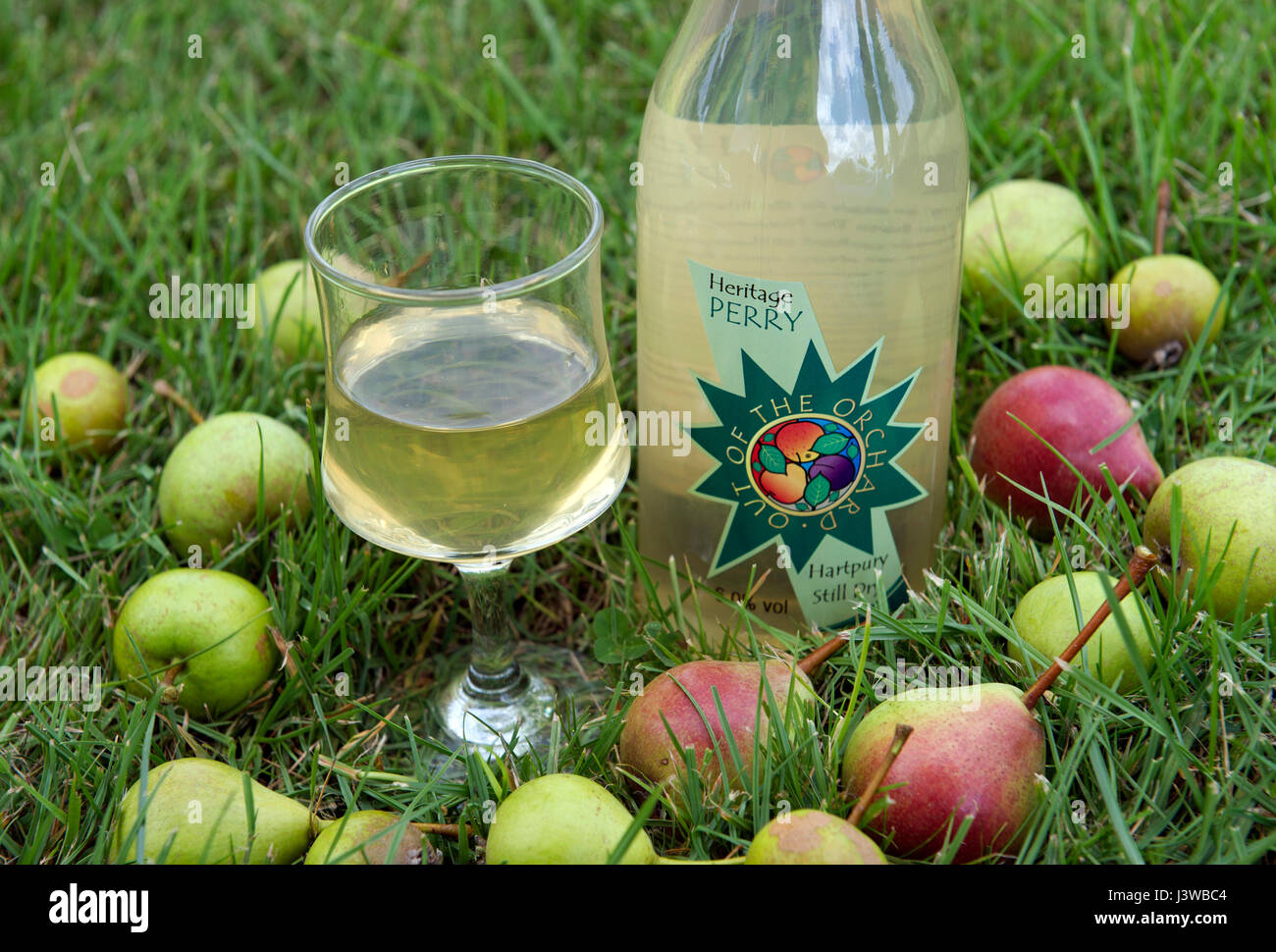 The Orchard Centre, Herefordshire, UK, showing a variety of perry (an ...