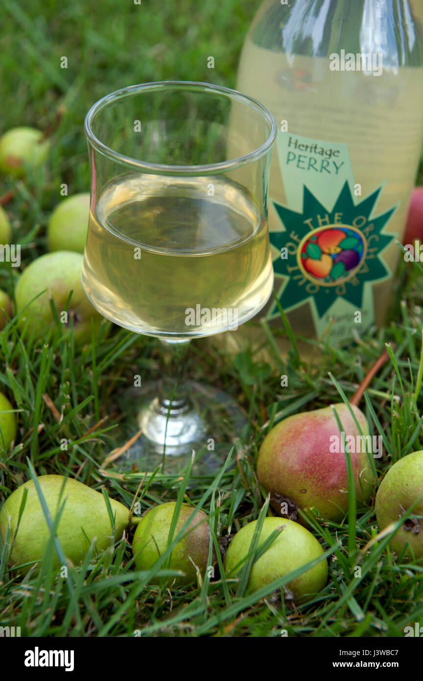 The Orchard Centre, Herefordshire, UK, showing a variety of perry (an ...