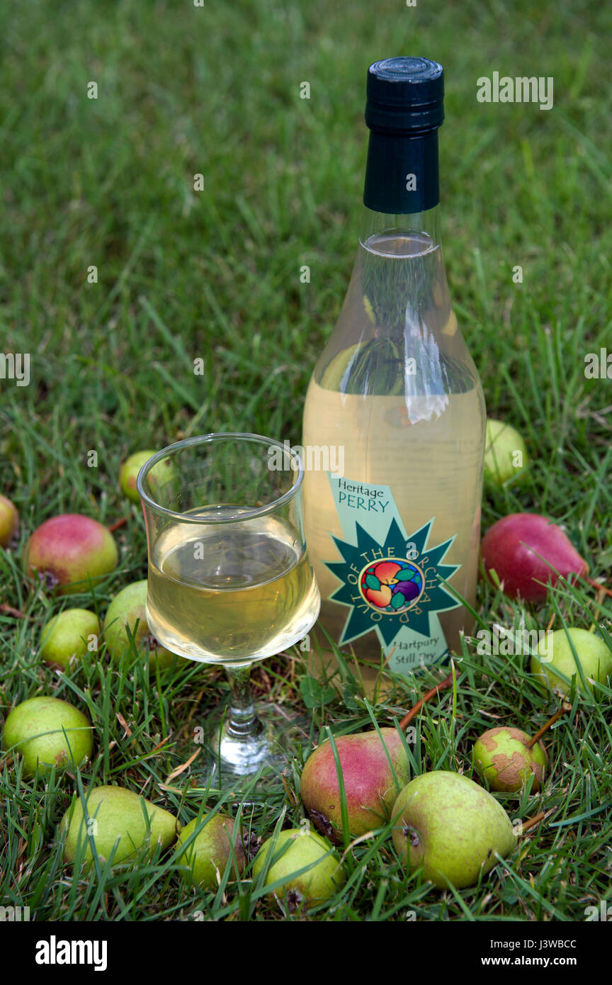 The Orchard Centre, Herefordshire, UK, showing a variety of perry (an ...