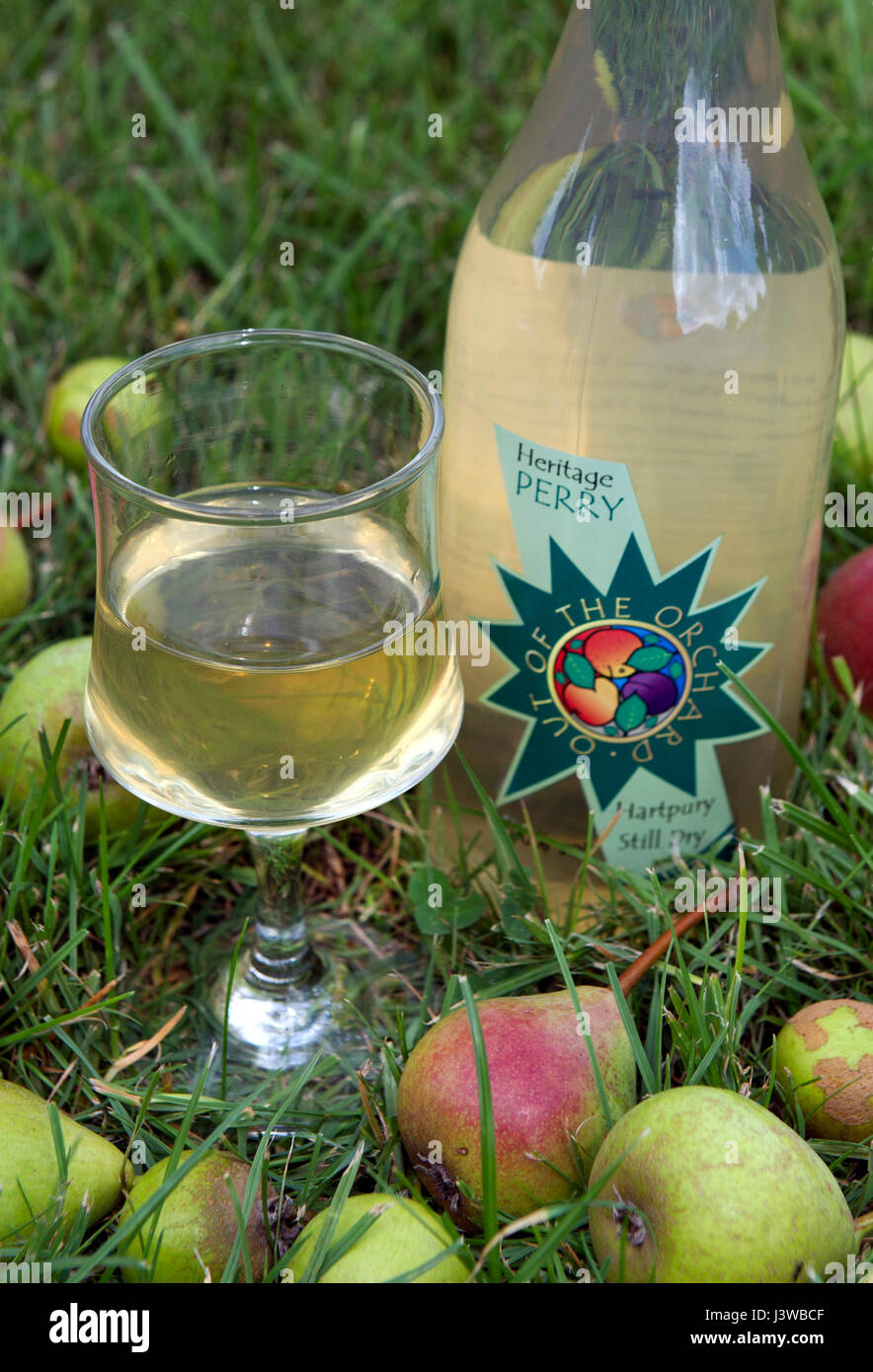 The Orchard Centre, Herefordshire, UK, showing a variety of perry (an ...