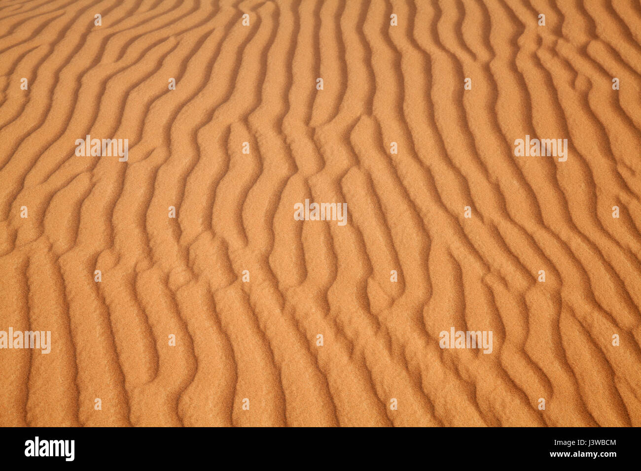 Red sand "Arabian desert" near Dubai, United Arab Emirates Stock Photo ...