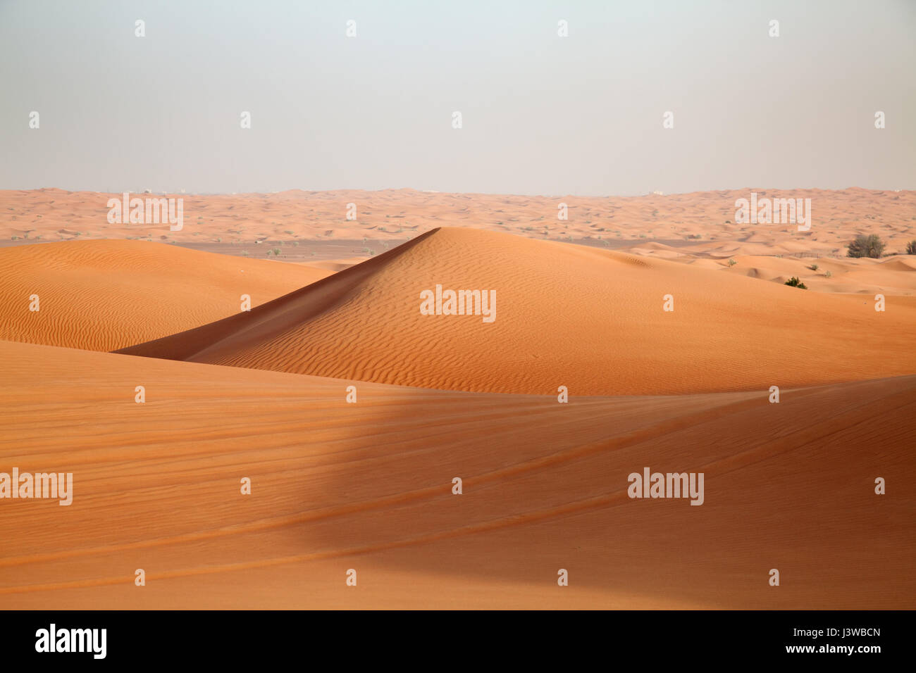 Red sand "Arabian desert" near Dubai, United Arab Emirates Stock Photo ...