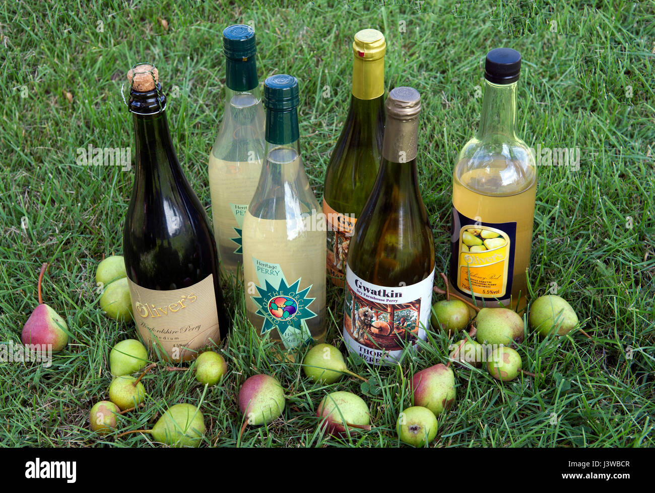 Perry pear orchard hi-res stock photography and images - Alamy