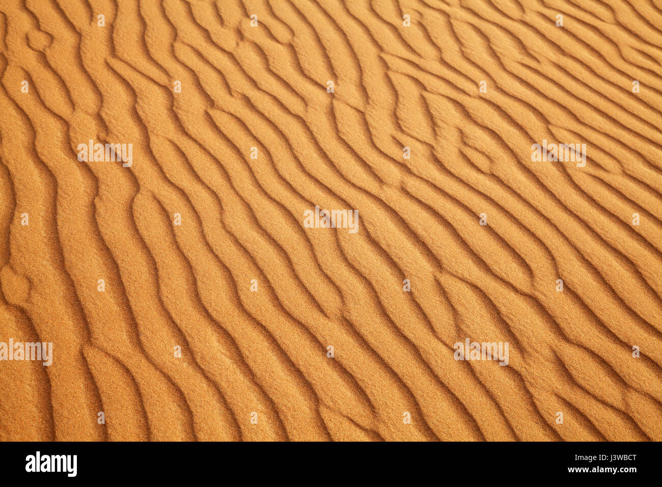 Red sand "Arabian desert" near Dubai, United Arab Emirates Stock Photo ...