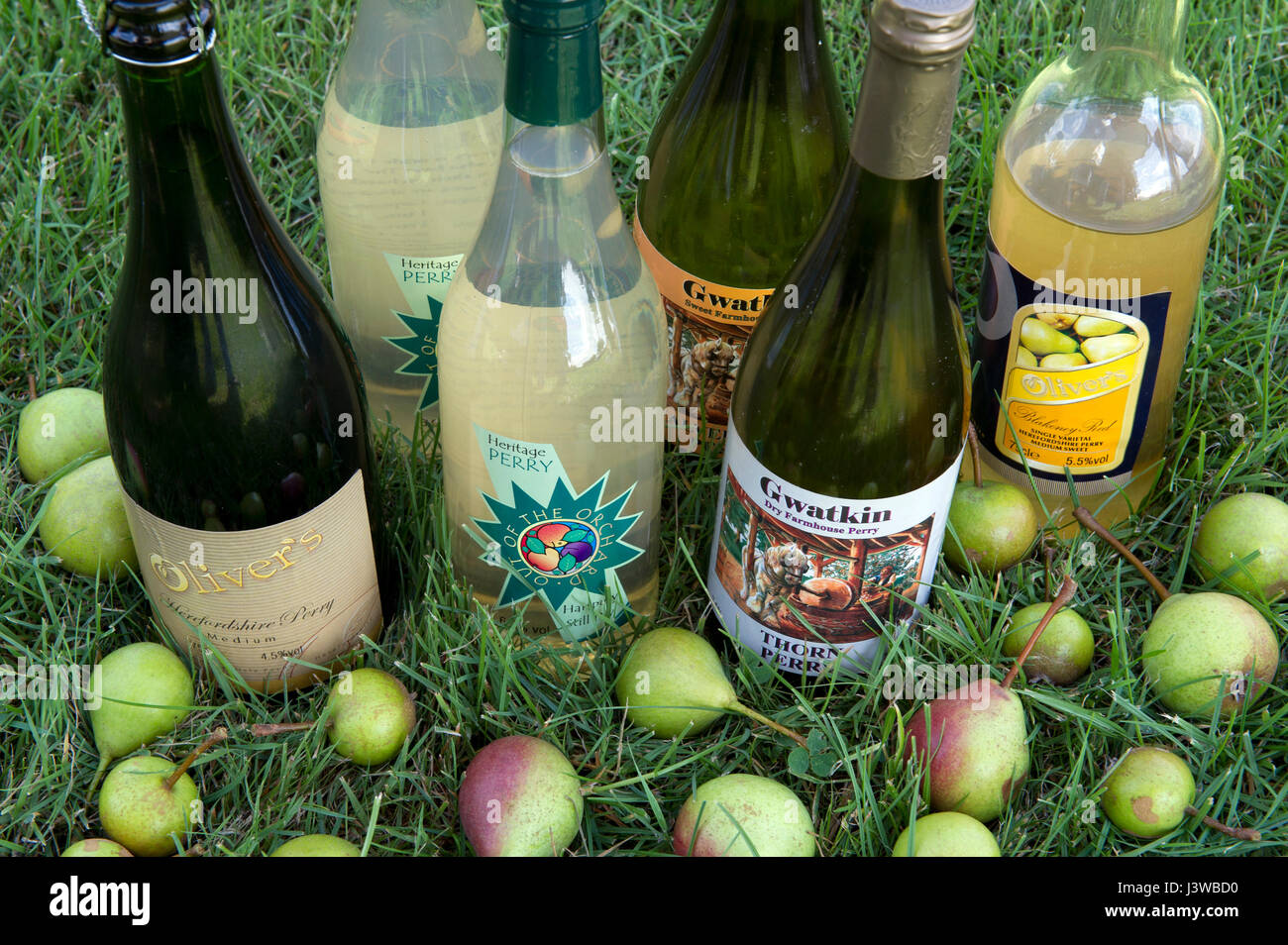 The Orchard Centre, Herefordshire, UK, showing a variety of perry (an ...