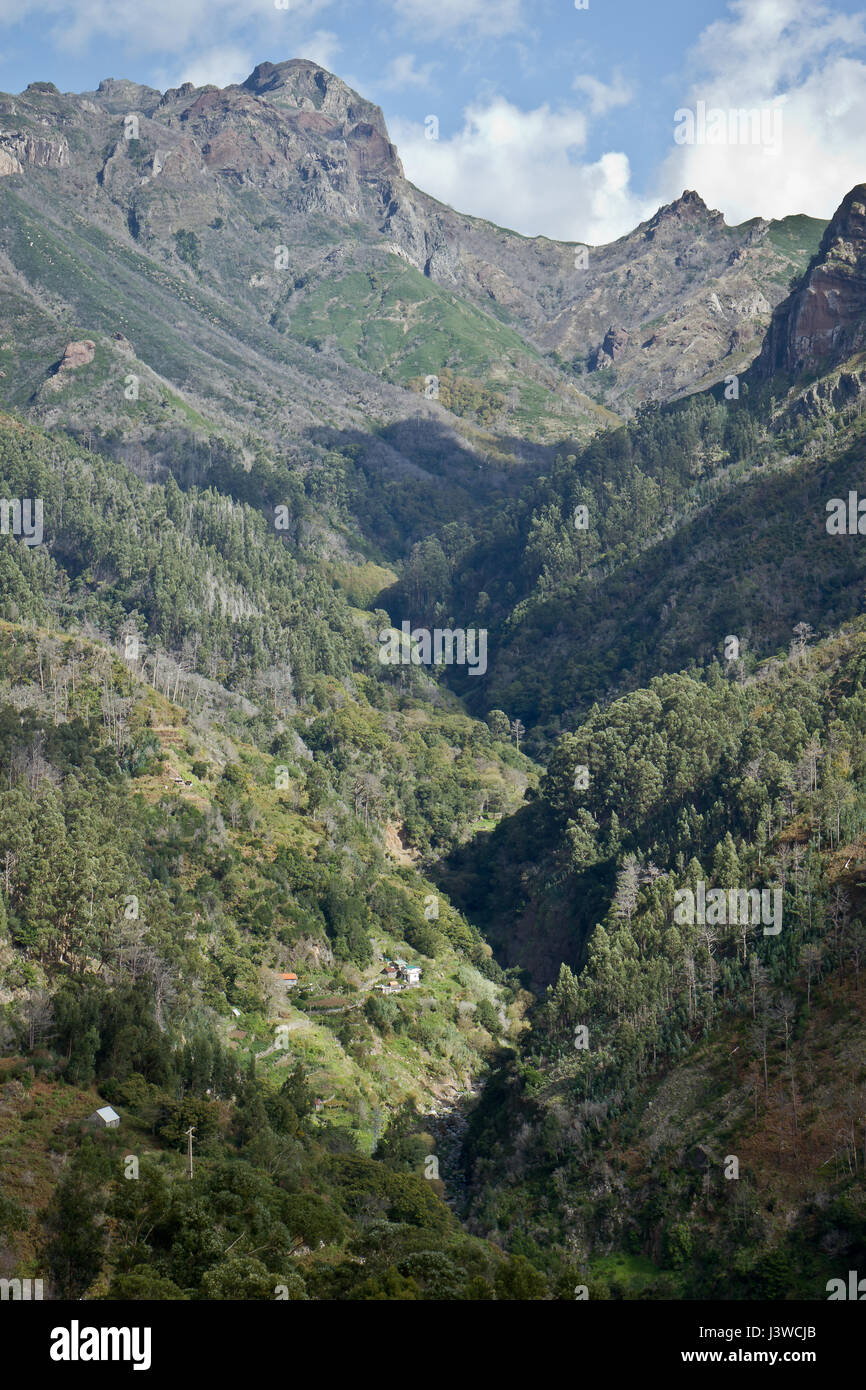 Valley in Madeira, Portugal Stock Photo - Alamy