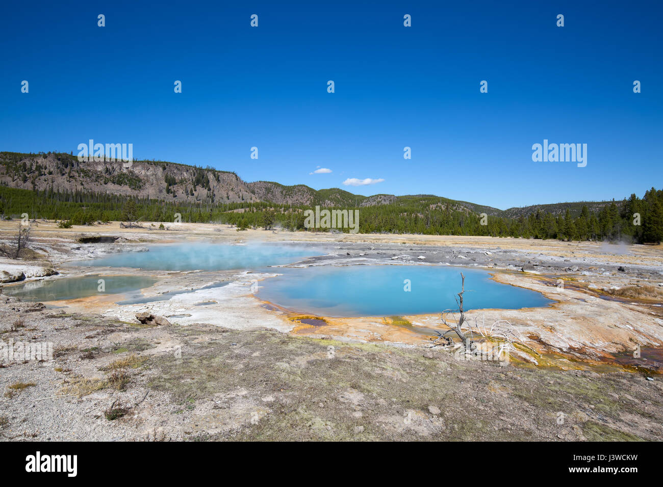 Colorful hot water pool in the Yellowstone National park, USA Stock ...